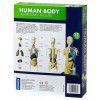 Human Body Anatomy Model Kit (37 Pieces) - Science And Nature