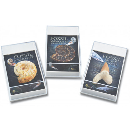 Rocks, Minerals And Fossils - Science And Nature